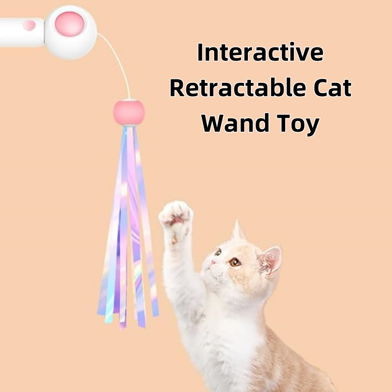 Interactive Retractable Cat Wand Toy – alivelyshop
